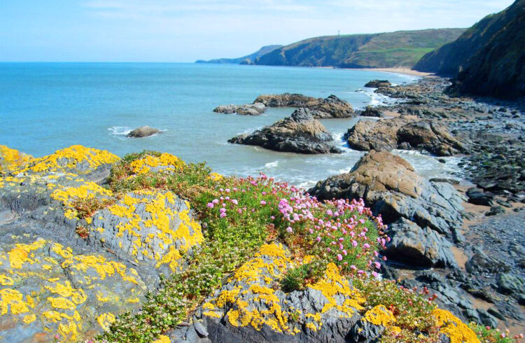 The Wales Way Circular Route